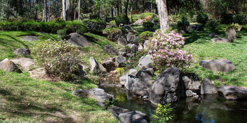 Parque Colomos: Naturaleza, Jardín Japonés y Más